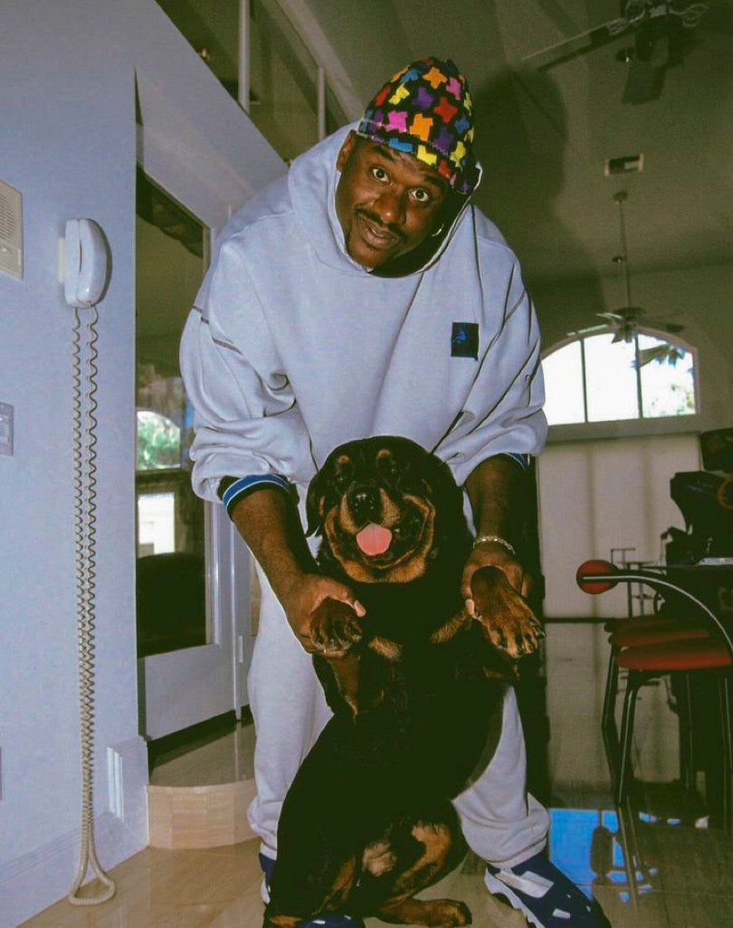 SHAQ DOG POSTER – PosterFi