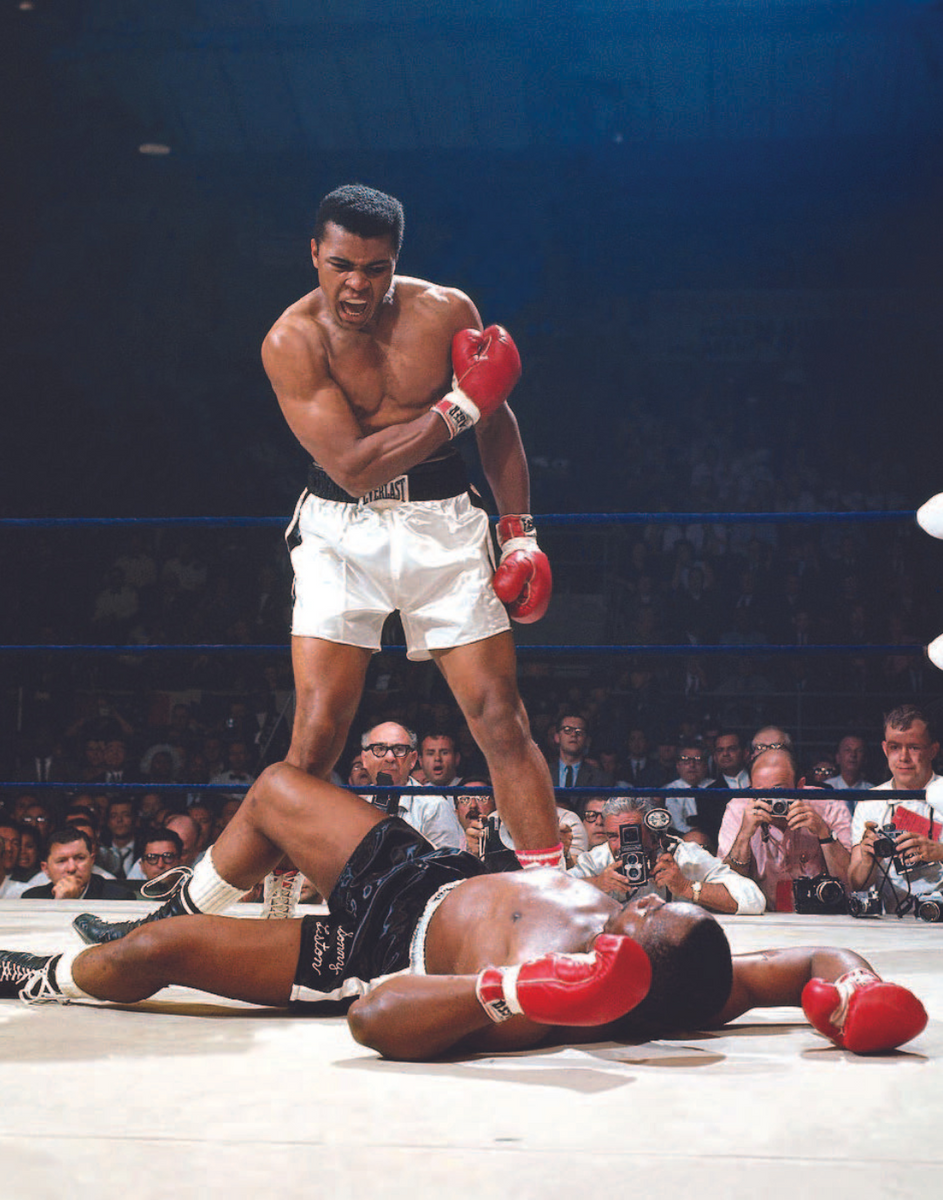 BOXER DOWN POSTER – PosterFi
