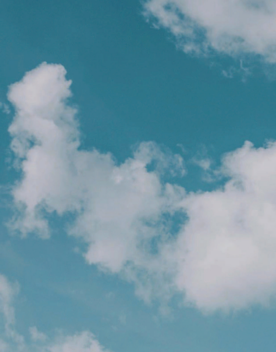 FREE AS A BIRD POSTER – PosterFi