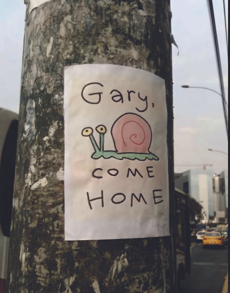 GARY COME HOME POSTER – PosterFi