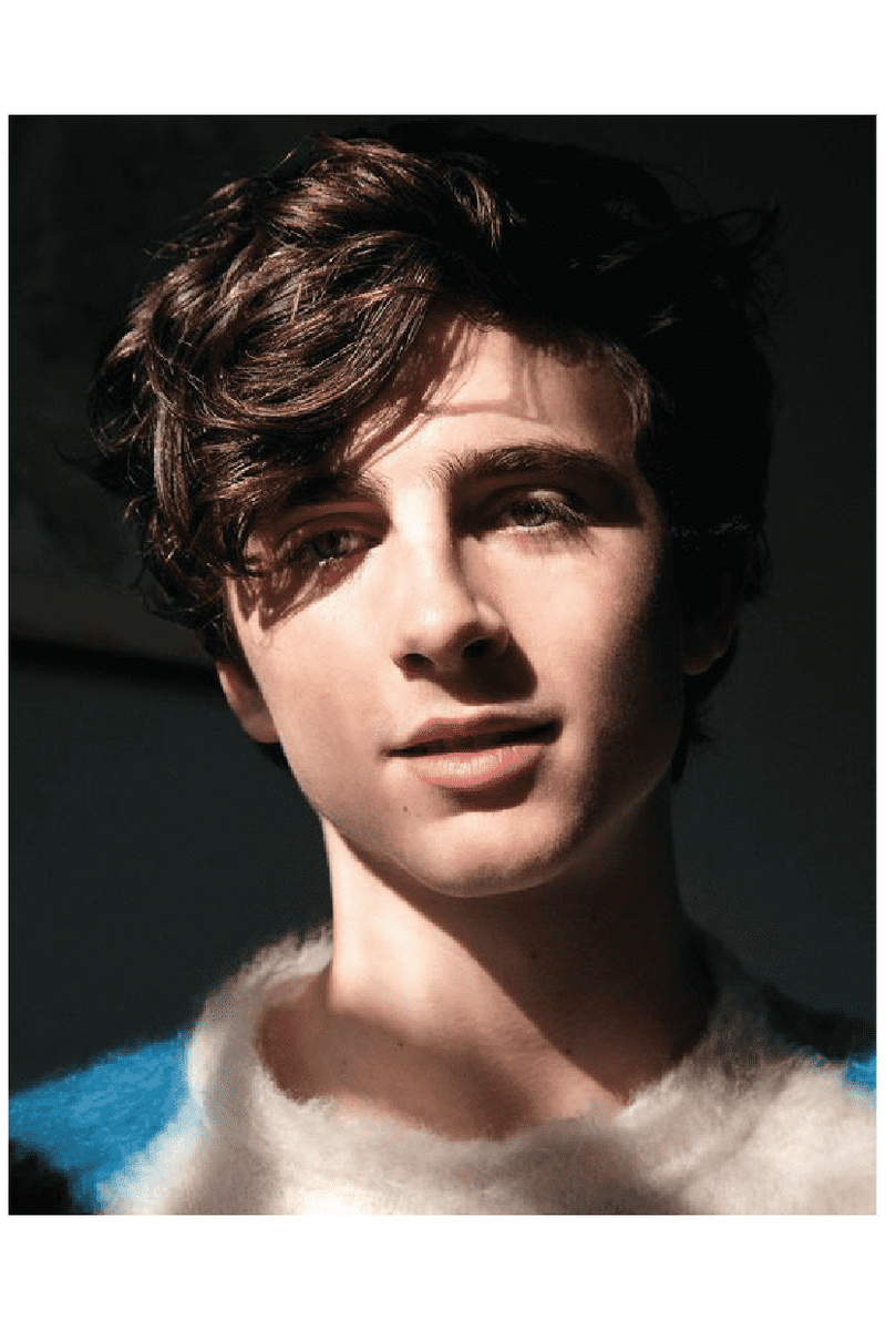 GOLDEN TIMMY POSTER – PosterFi