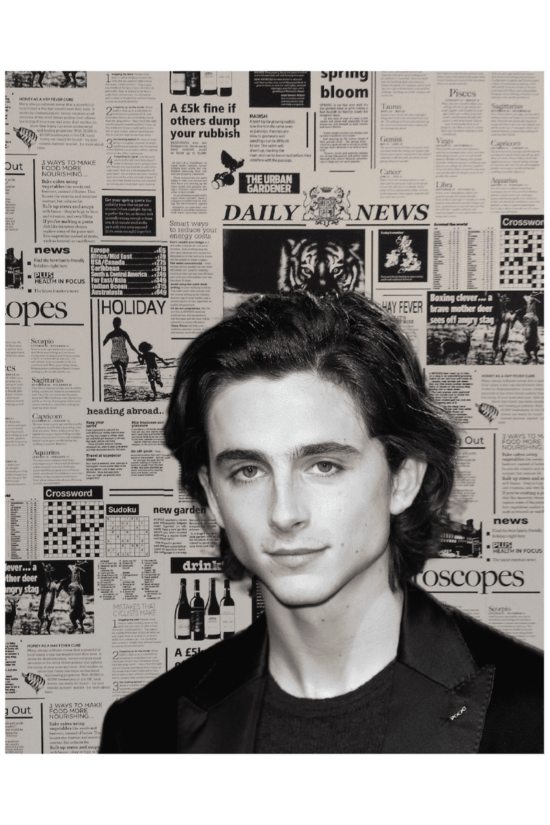 NEWSPAPER TIMMY POSTER – PosterFi