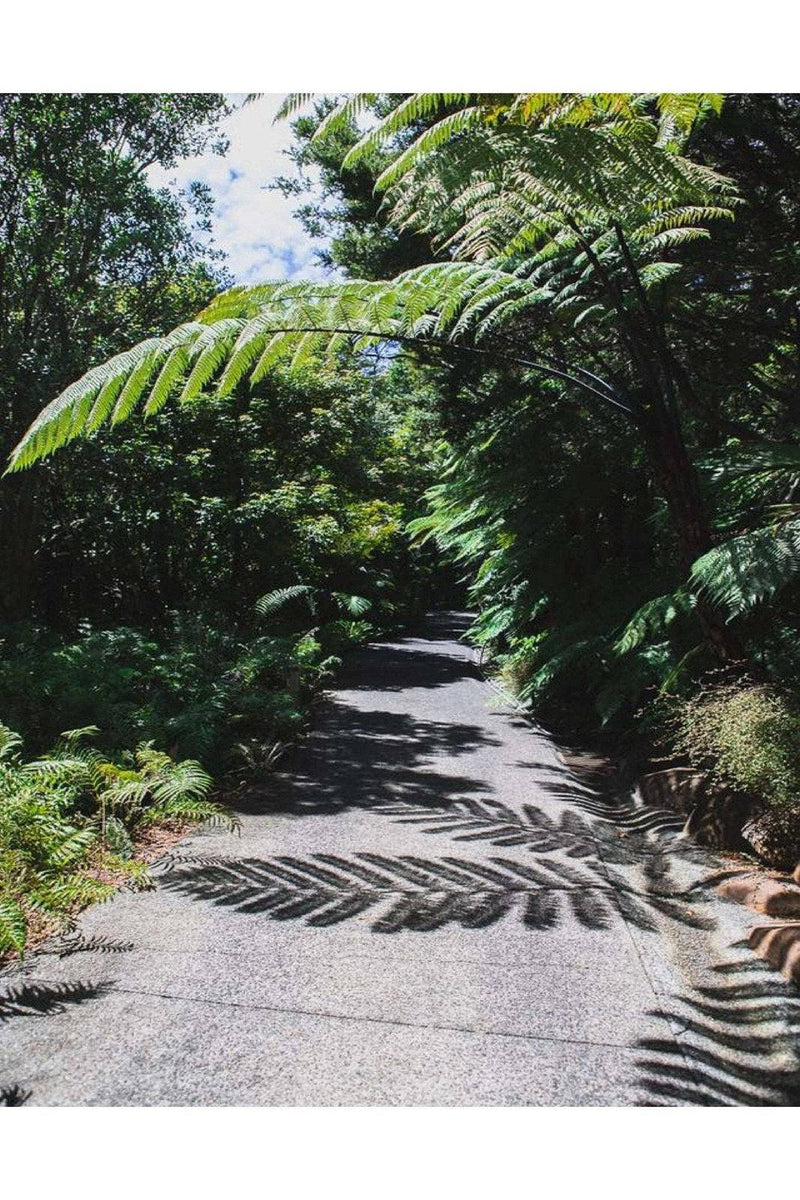 SHADOW WALK POSTER – PosterFi