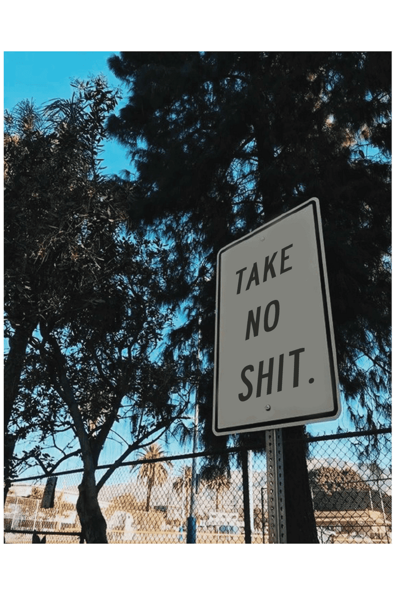 TAKE NO SHIT POSTER – PosterFi