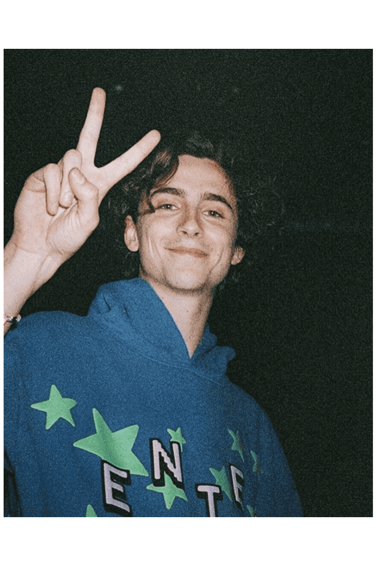 TIMMY POSTER – PosterFi