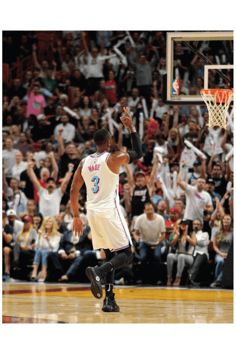 WADE VICE POSTER – PosterFi